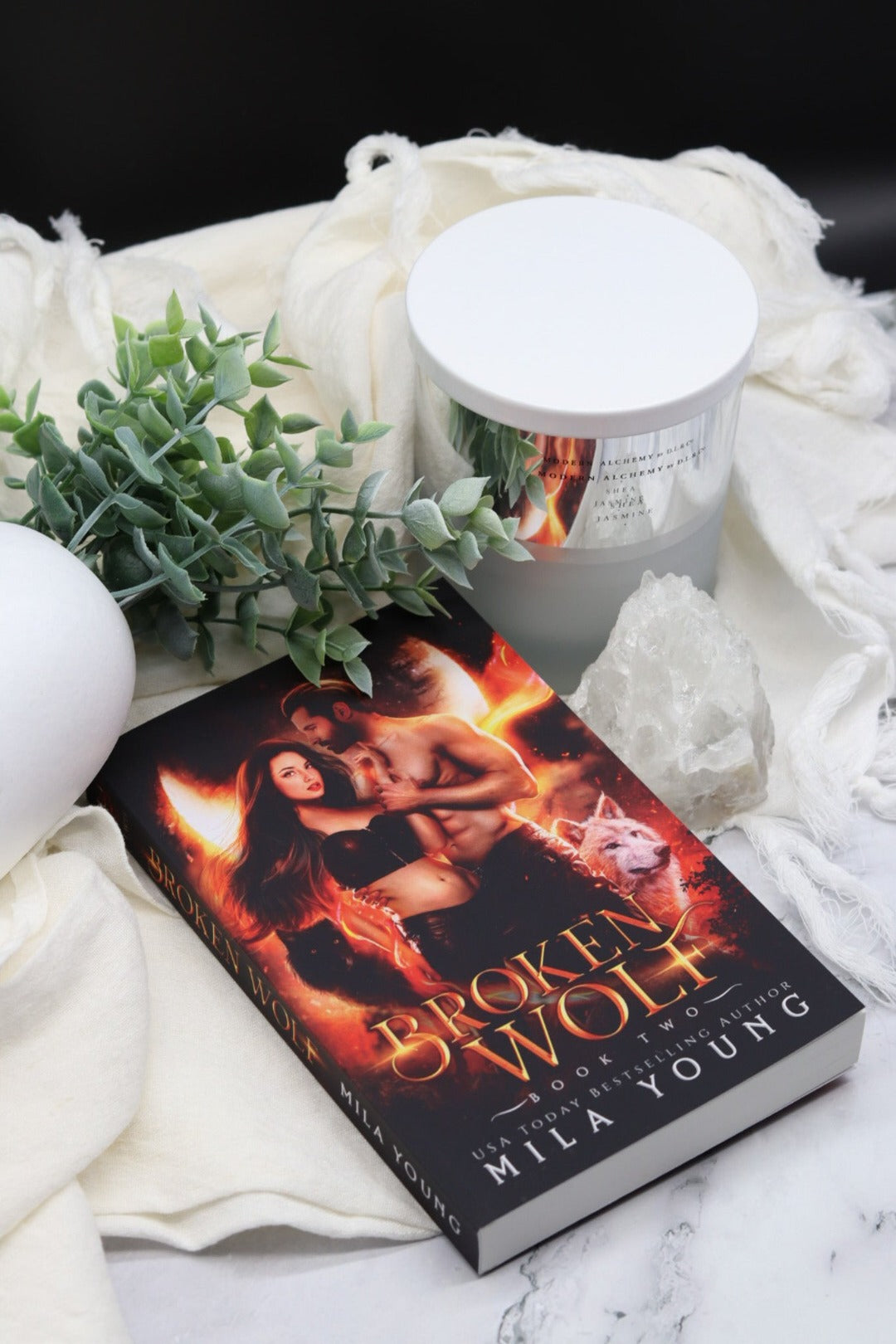 Broken Wolf Book - Viking Alpha Adventure in Savage Sector – Mila Young Books