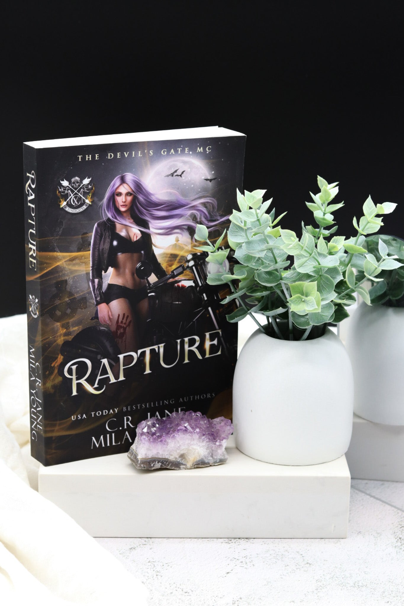 MC Syndicates: Rapture - Dark Reverse Harem Romance – Mila Young Books