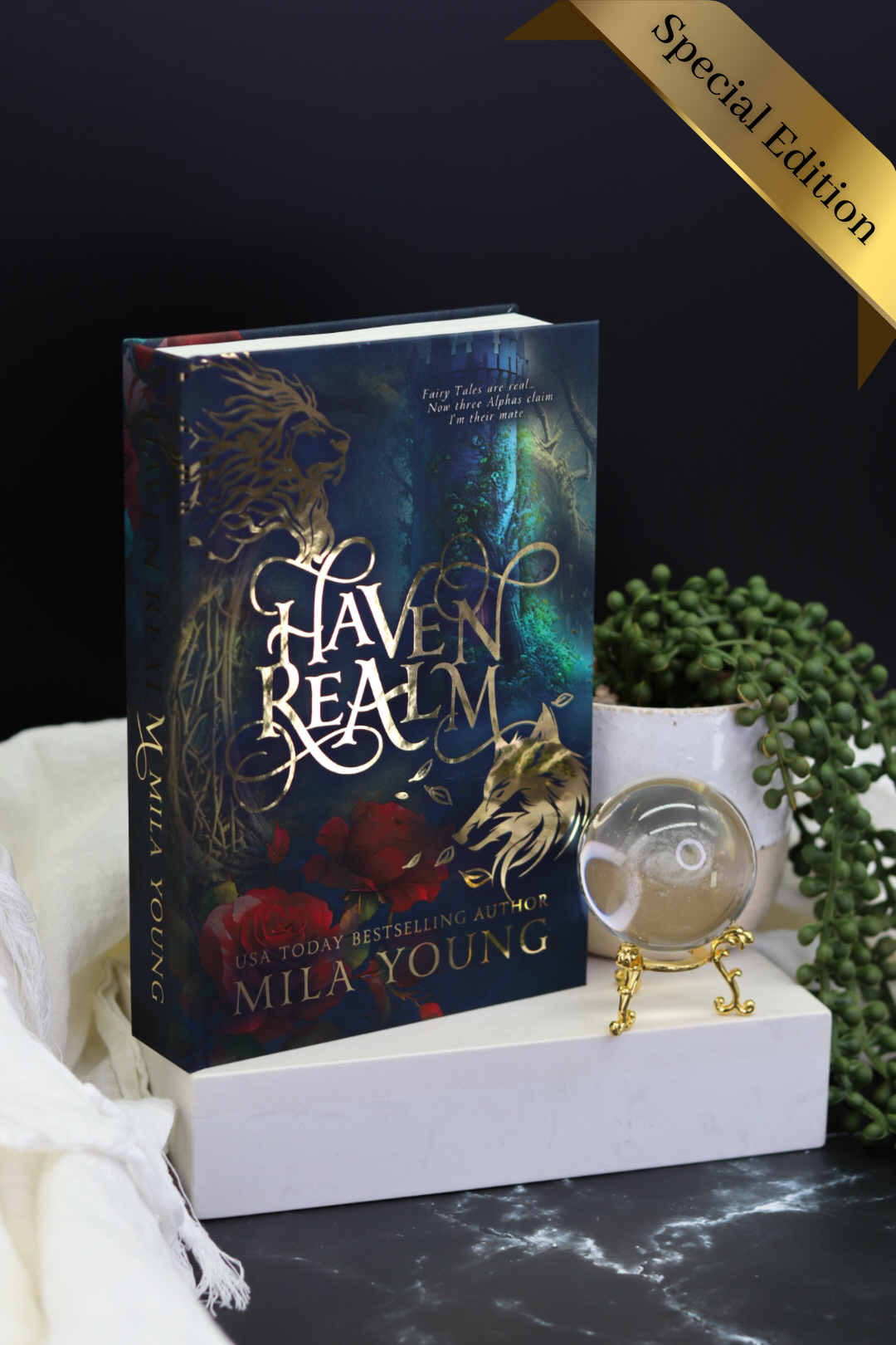 Haven Realm Special Edition Steamy Fairy Tale Retellings - 3 Books in ...